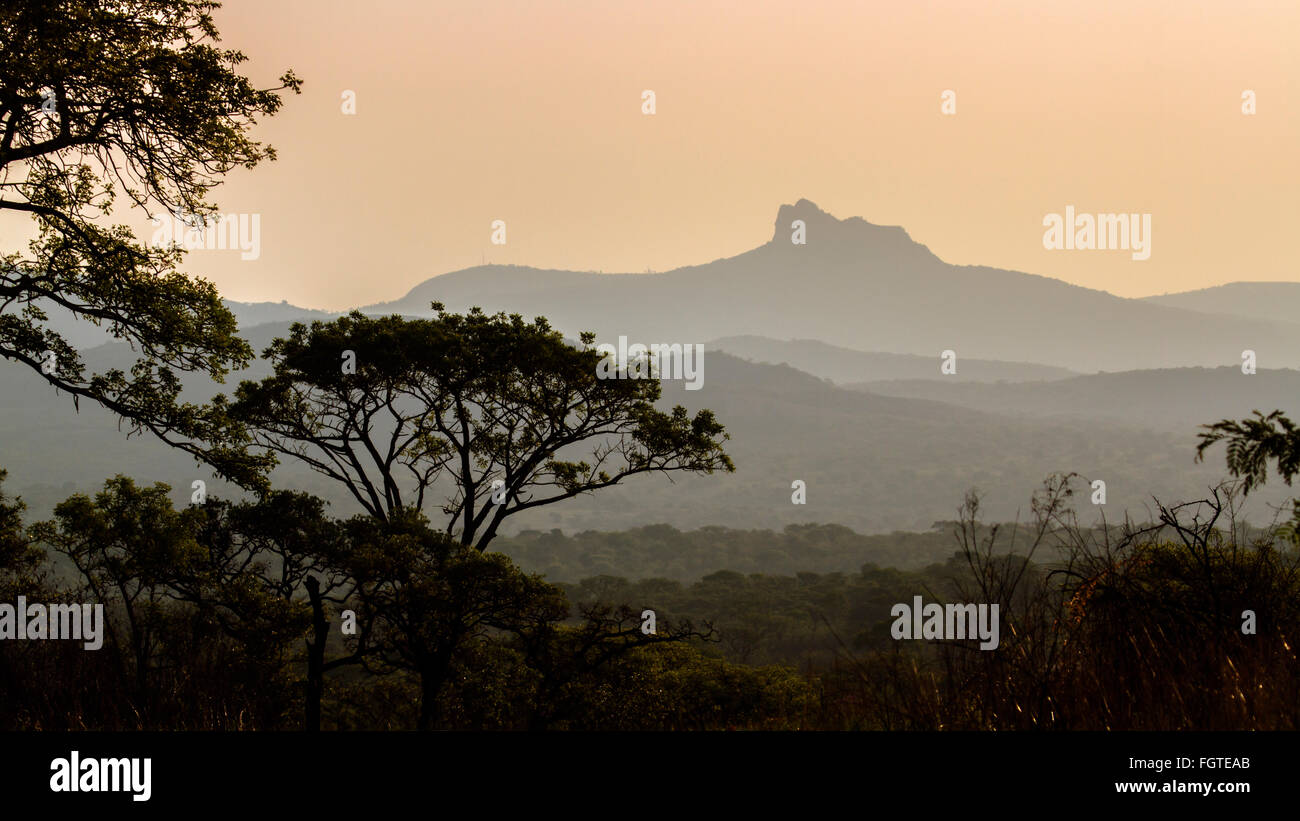 Kruger national park landscape hi-res stock photography and images - Alamy