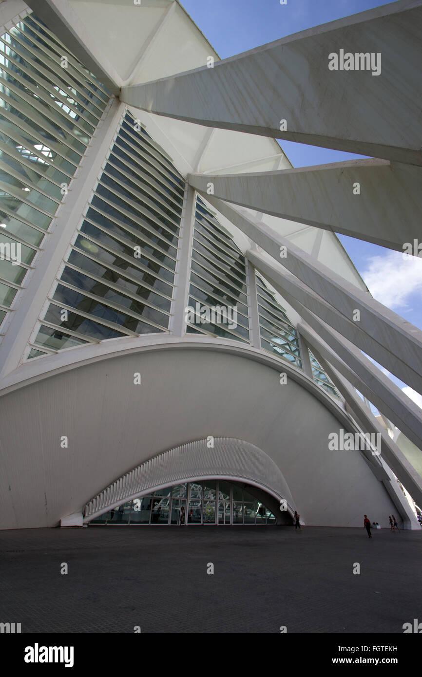 The Prince Felipe science museum in the city of arts and sciences ...
