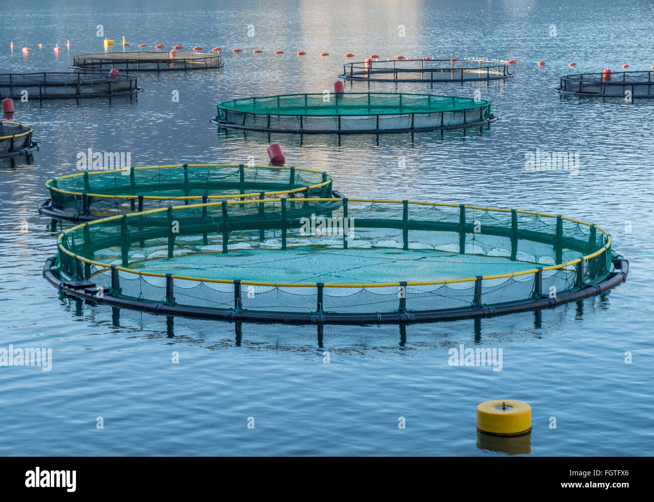 Big Cages for fish farming in Montenegro Stock Photo - Alamy