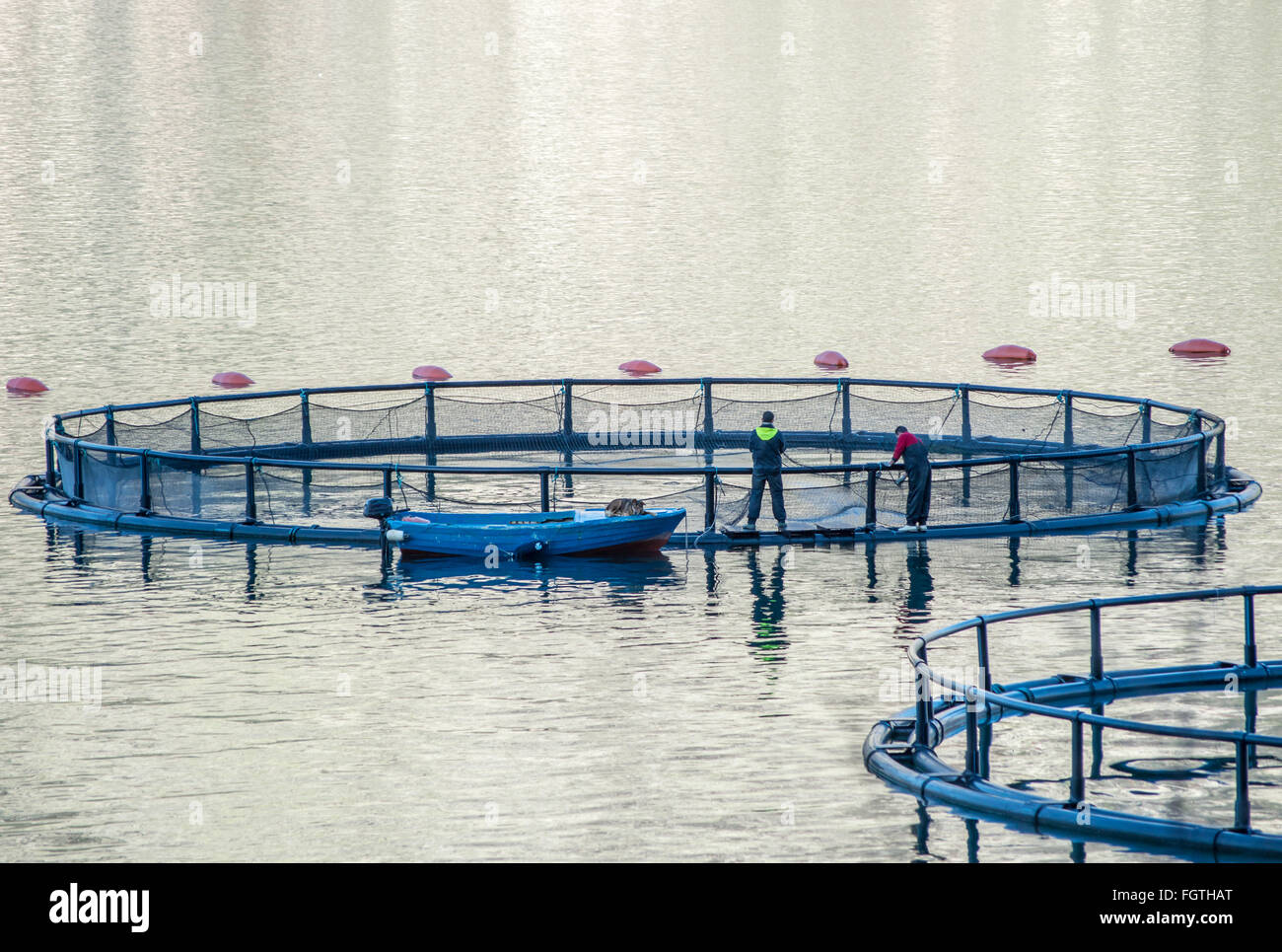 Big Cages for fish farming in Montenegro Stock Photo - Alamy