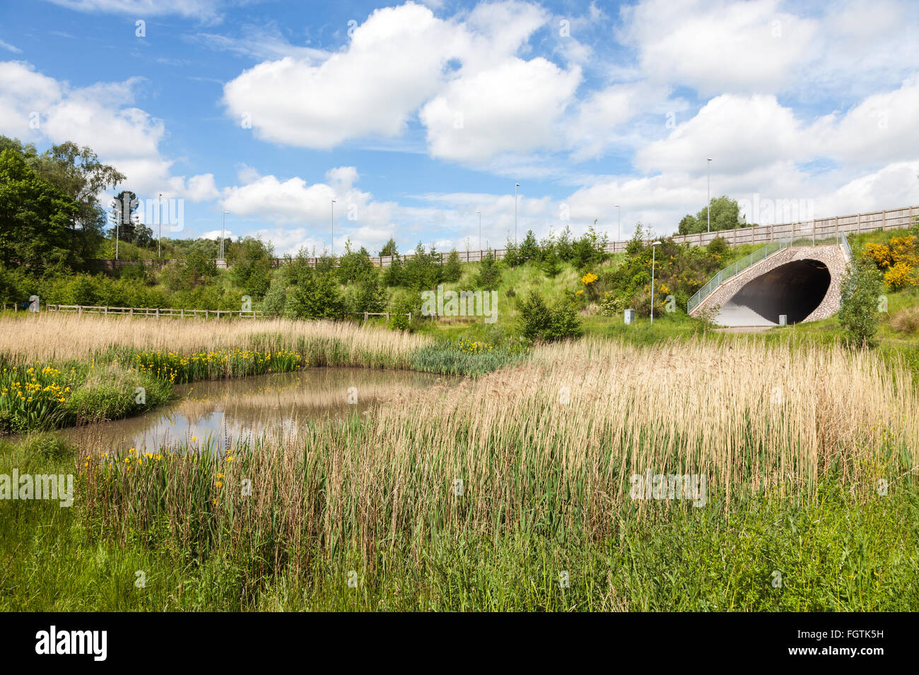 Landscaping, an underpass and balancing lake built when a new bypass ...