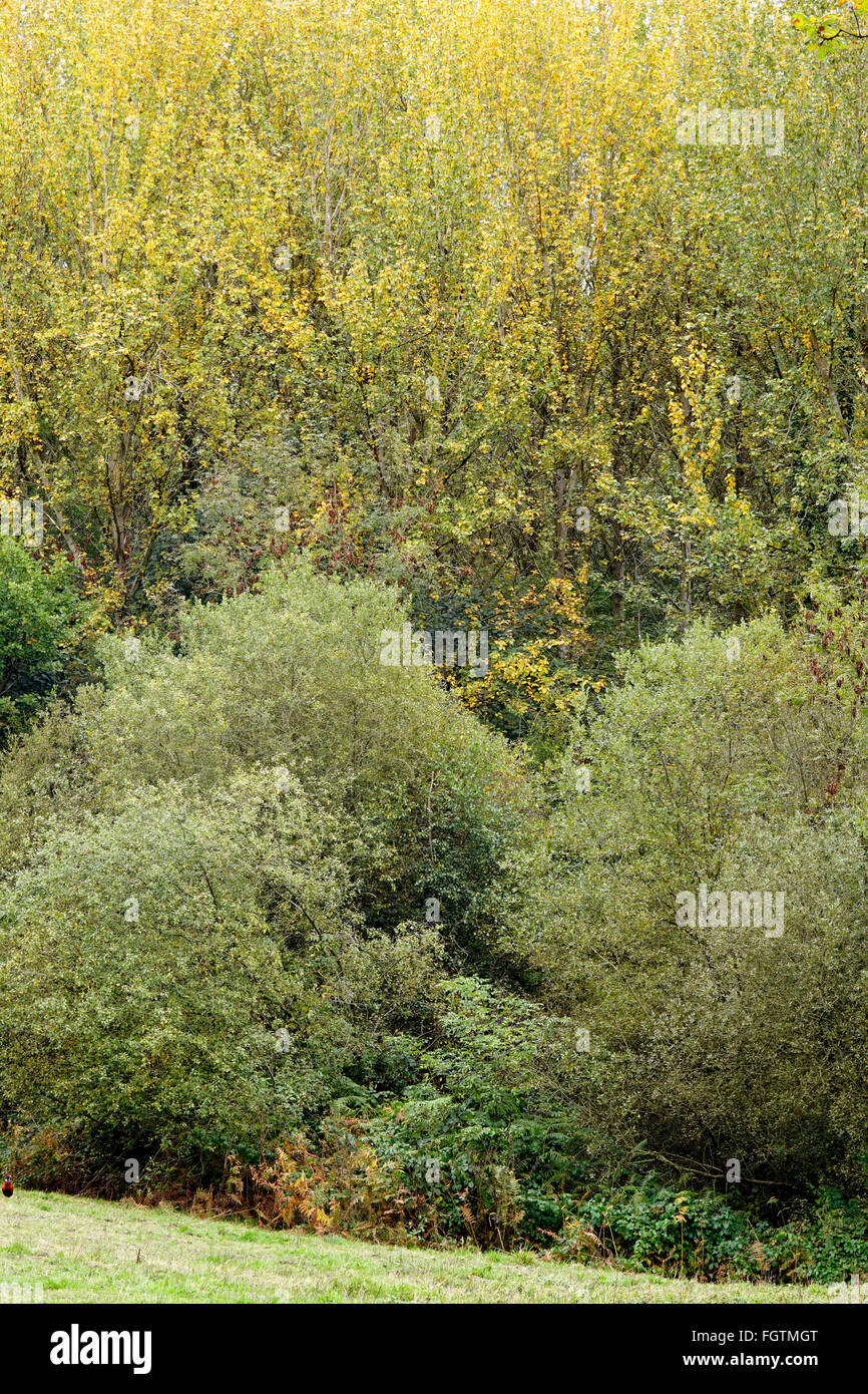 Willey farm hi-res stock photography and images - Alamy