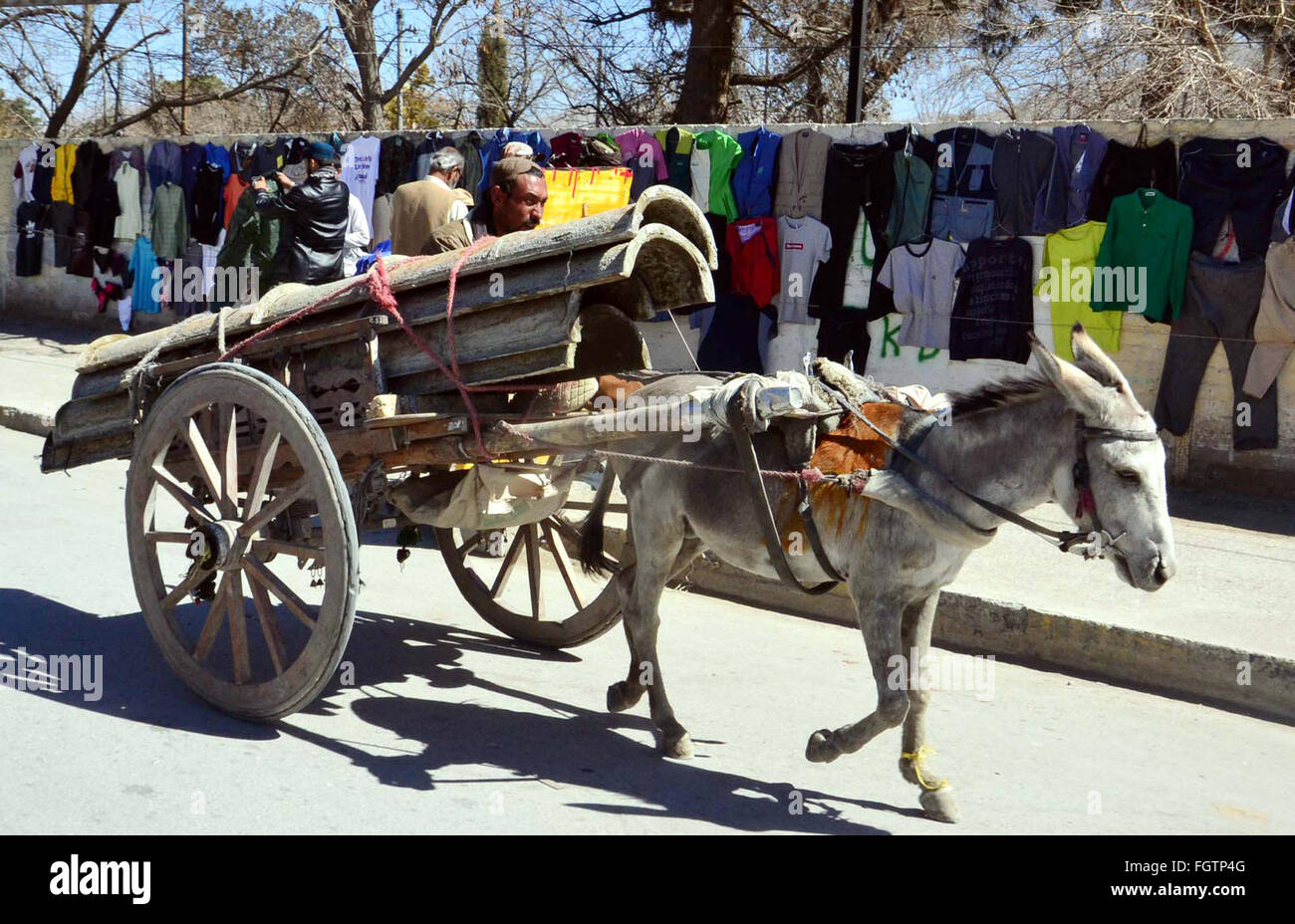 Labour carries goods on his donkey-cart to earn his livelihood for ...