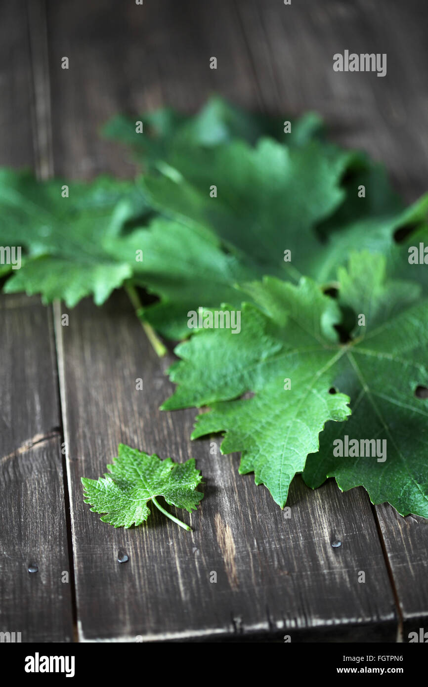 Vine leaves hi-res stock photography and images - Alamy