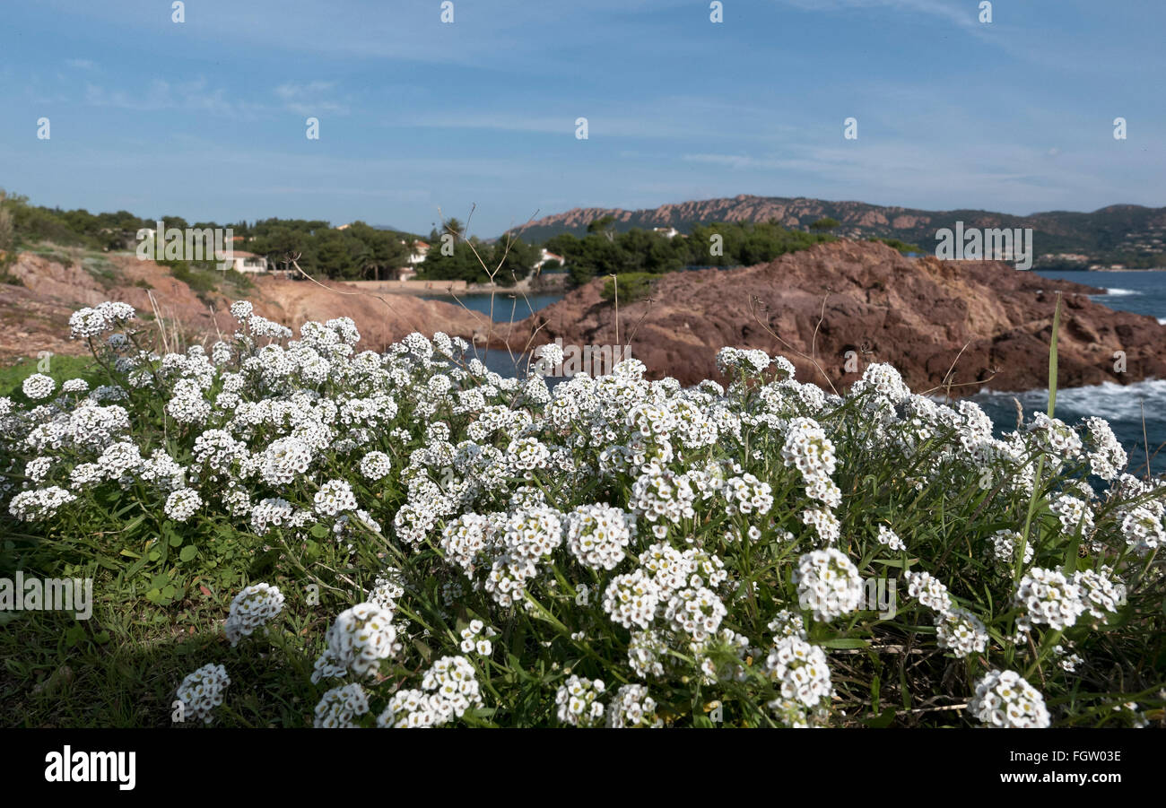 Le Dramont Peninsula, Agay Bay and Estérel Hills, Agay, Saint-Raphaël ...