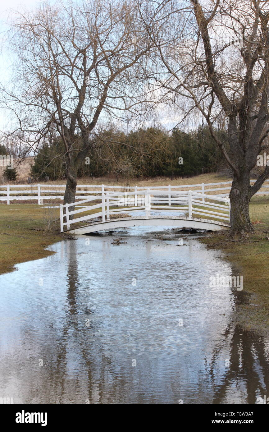 Little, private, white footbridge spanning a ditch full of water Stock ...