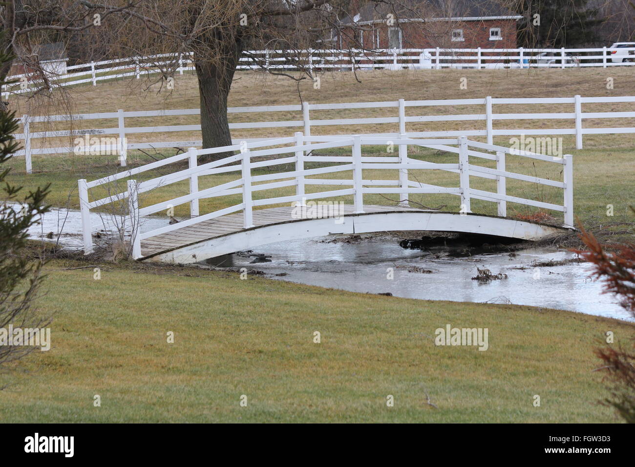 Little, private, white footbridge spanning a ditch full of water Stock ...