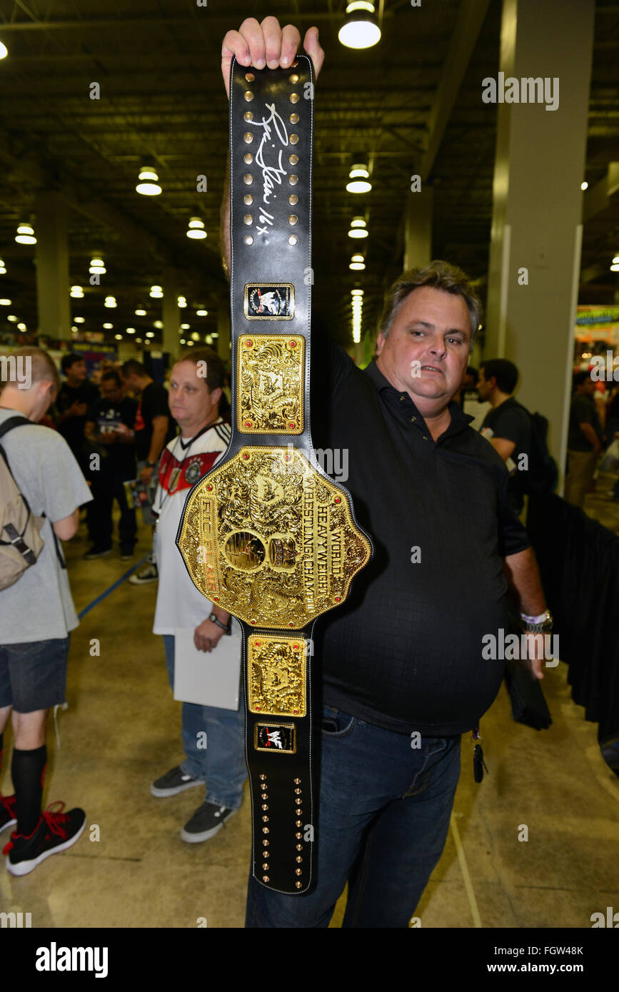 Magic City Comic Con held at Miami Airport Convention Center - Day 2 ...