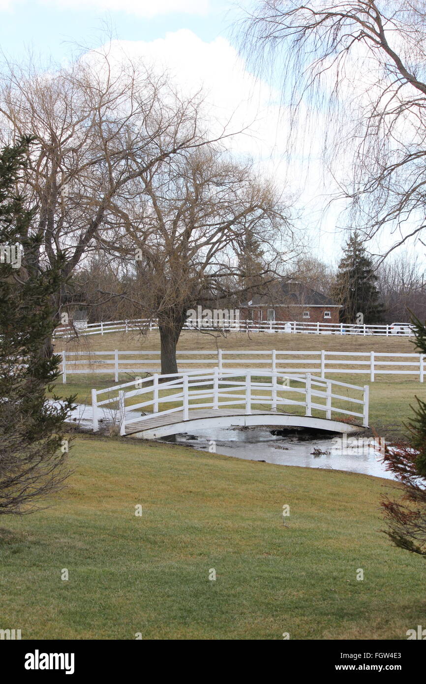 Little, private, white footbridge spanning a ditch full of water Stock ...