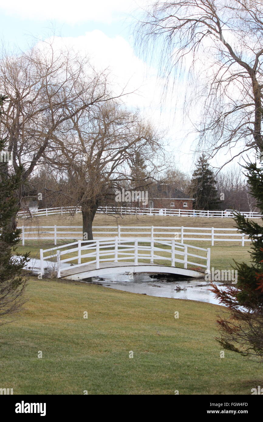 Little white footbridge spanning a ditch full of water Stock Photo - Alamy