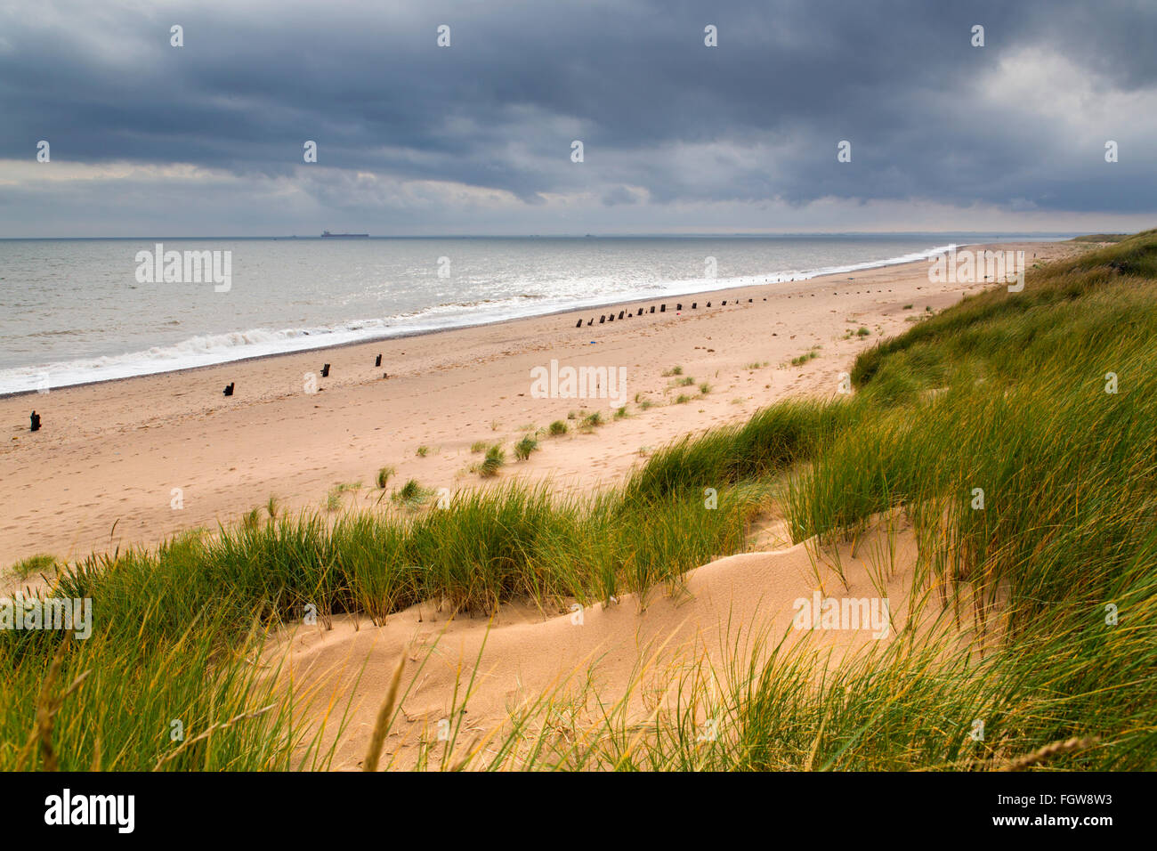 Spurn hi-res stock photography and images - Alamy