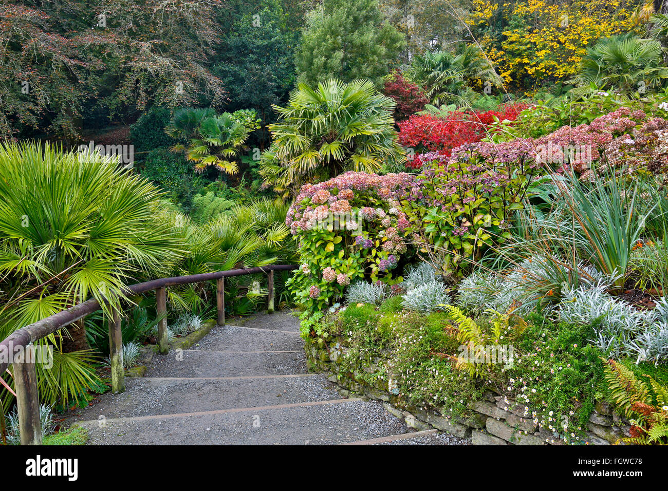Trebah Garden; Autumn; Cornwall; UK Stock Photo - Alamy