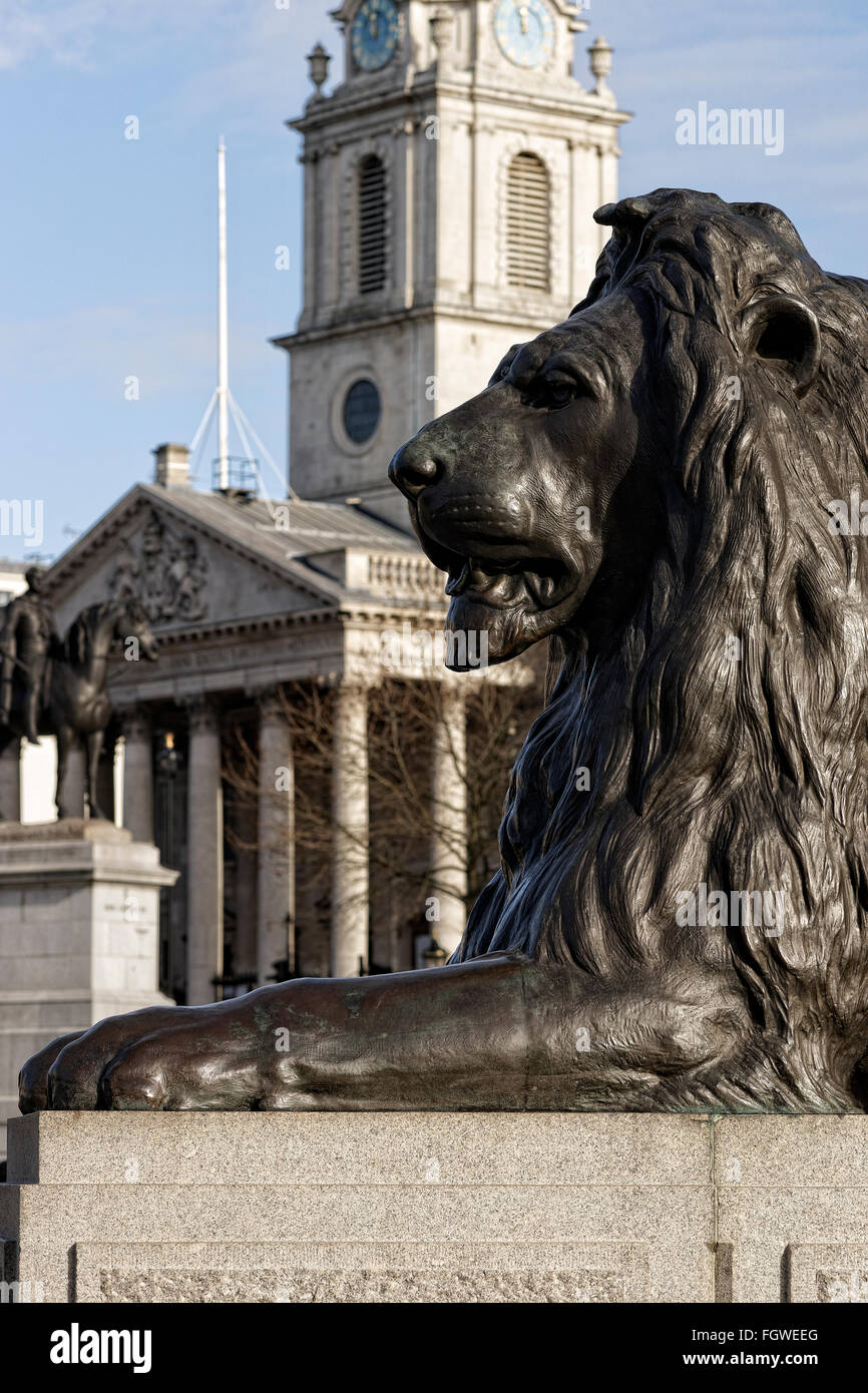 Lion at Trafalgar Square Stock Photo - Alamy