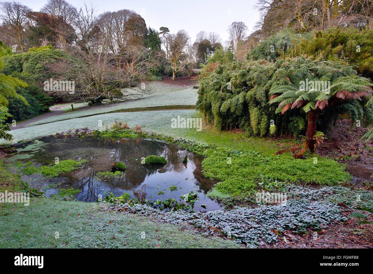 Garden winter frost hi-res stock photography and images - Alamy