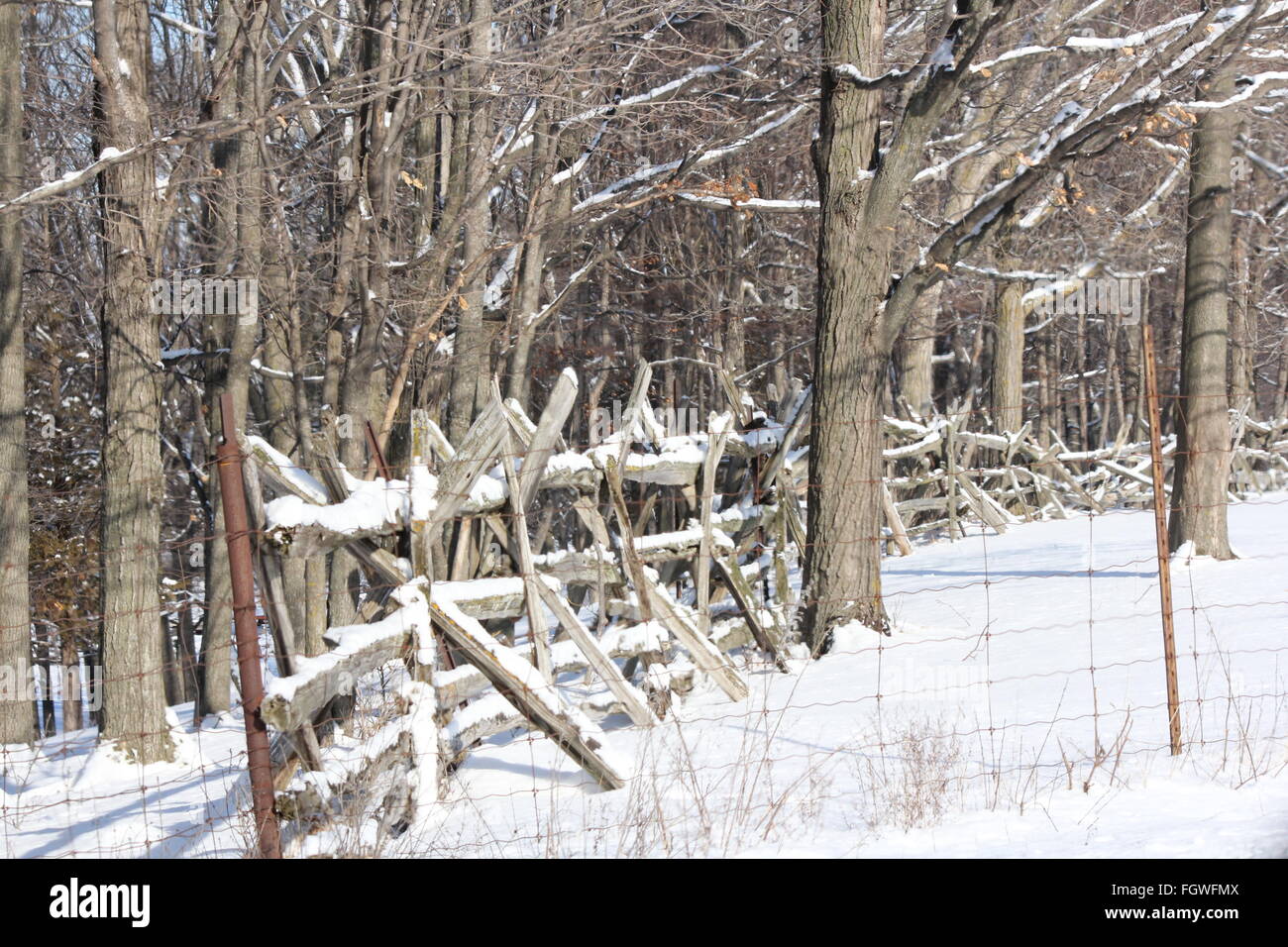 Winter, snowy scene of fence dividing farm area from wooded area Stock ...