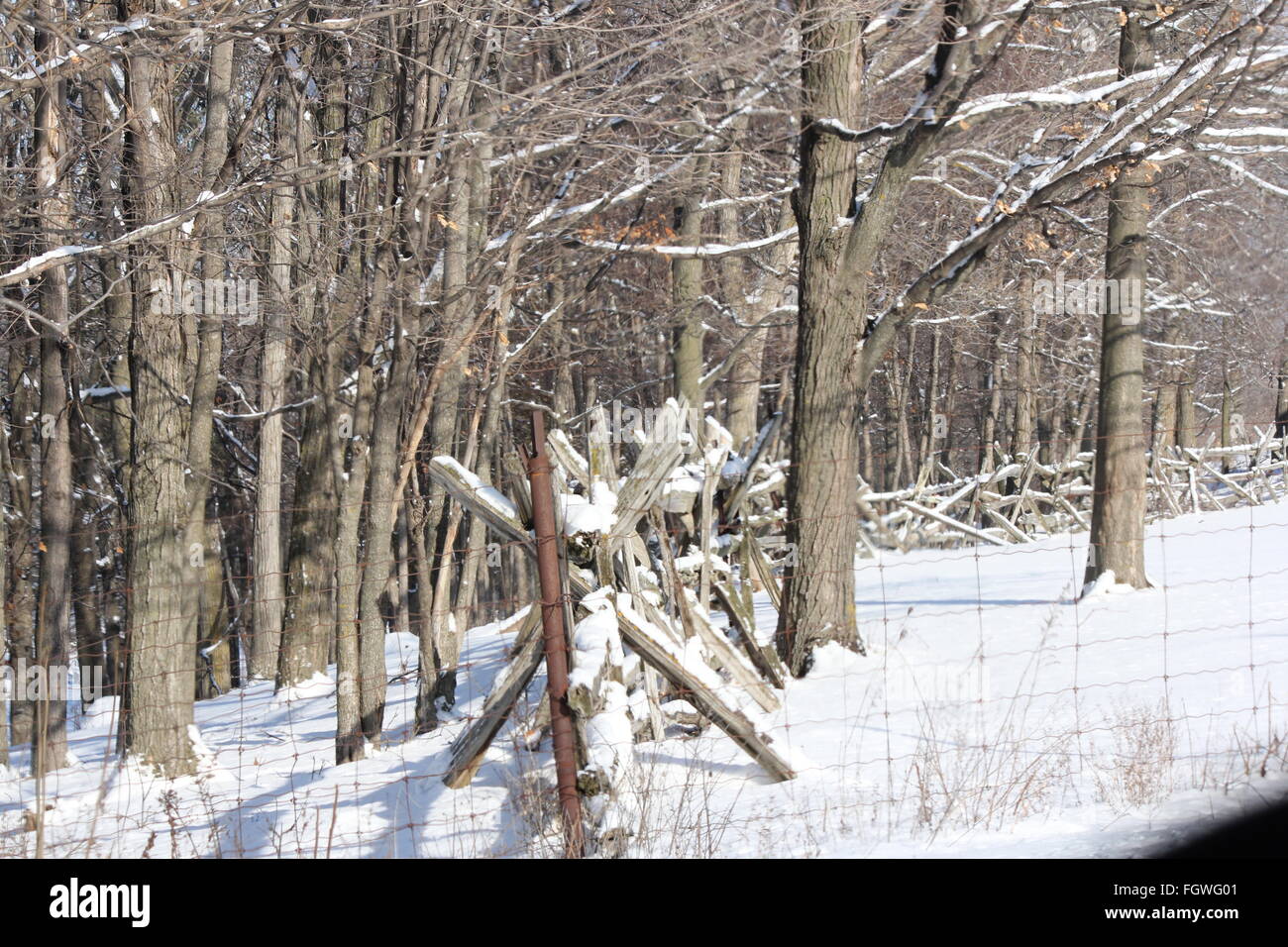 Winter, snowy scene of fence dividing farm area from wooded area Stock ...