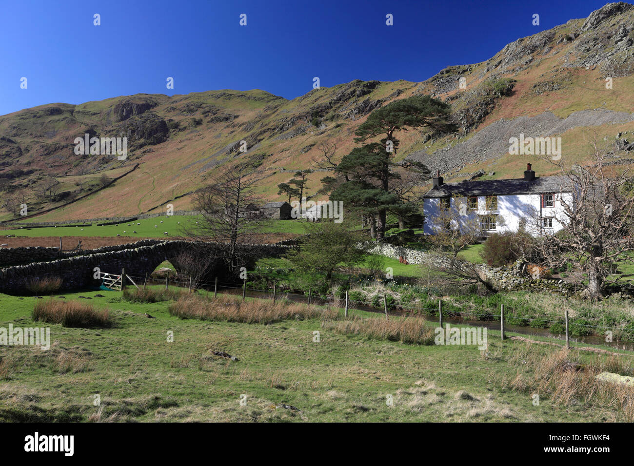 Spring, Martindale Common valley, Lake District National Park, Cumbria ...