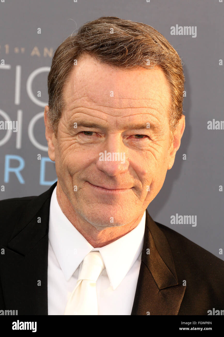 21st Annual Critics' Choice Awards - Arrivals Featuring: Bryan Cranston ...