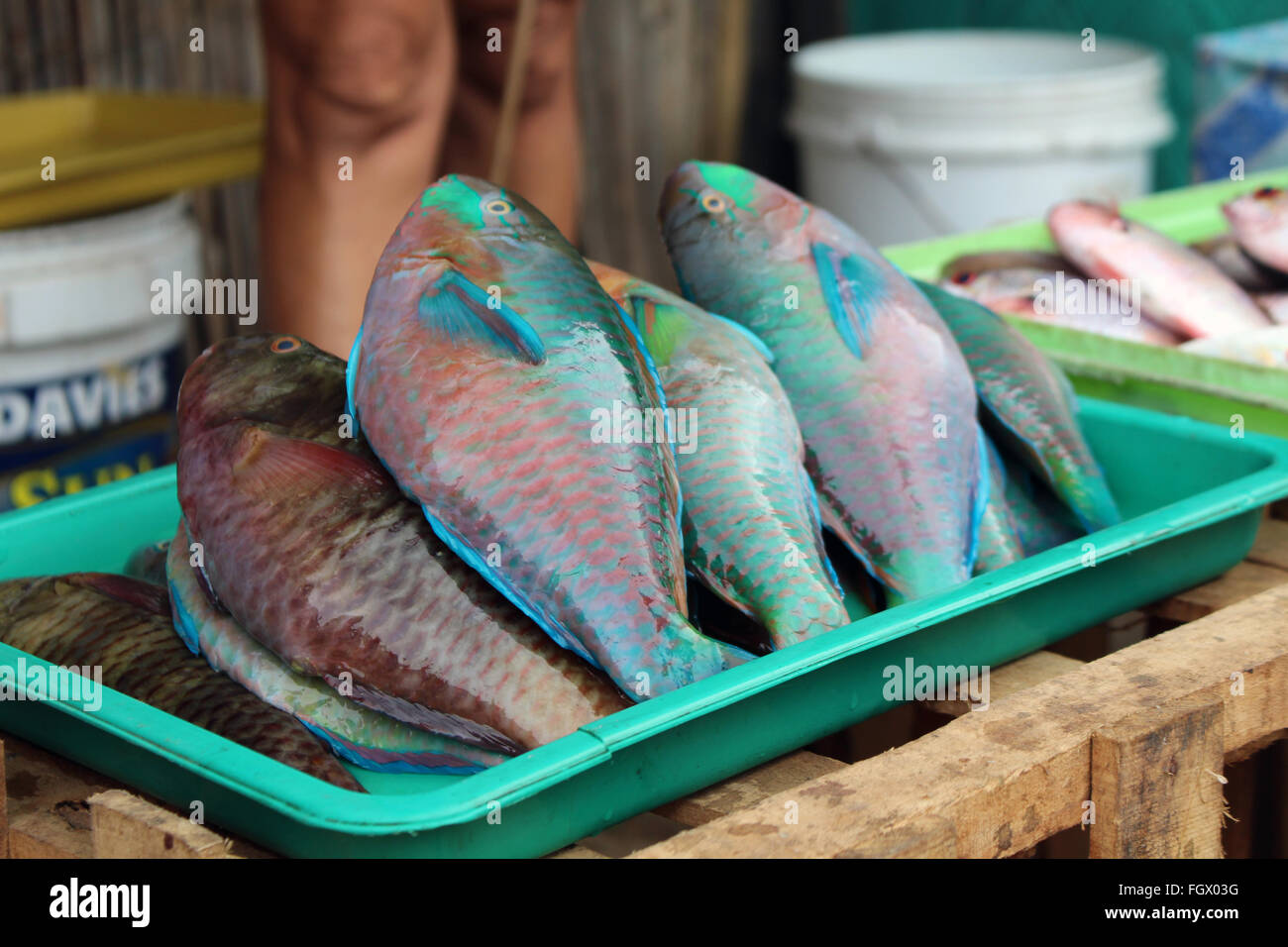 PALAWAN/PHILIPPINES - CIRCA DECEMBER 2015: Colorful fish sold on the ...