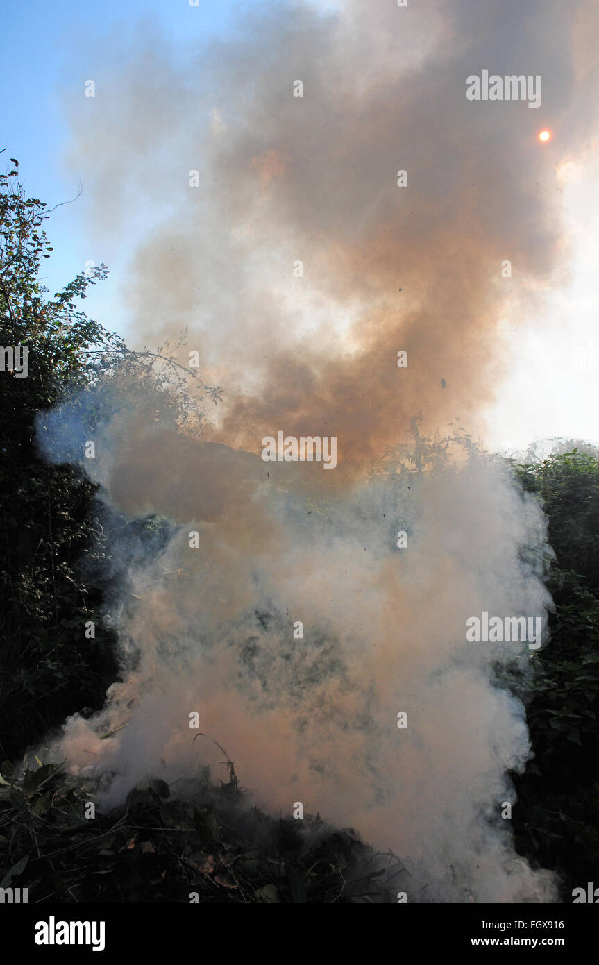Bonfire smoke against autumn sky, covering sun Stock Photo - Alamy