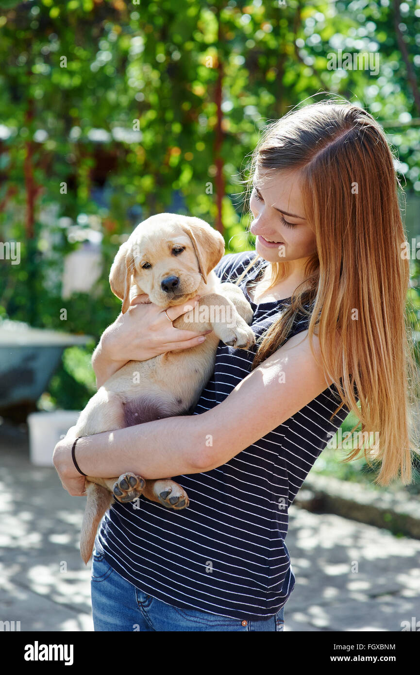 White female labrador hi-res stock photography and images - Alamy