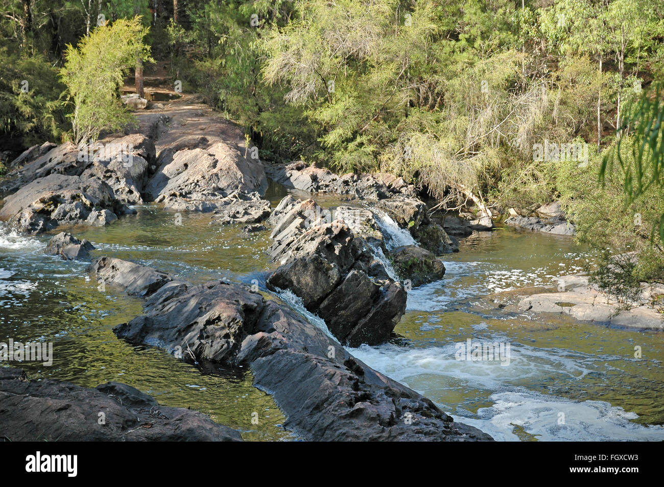 Pemberton western australia hi-res stock photography and images - Alamy