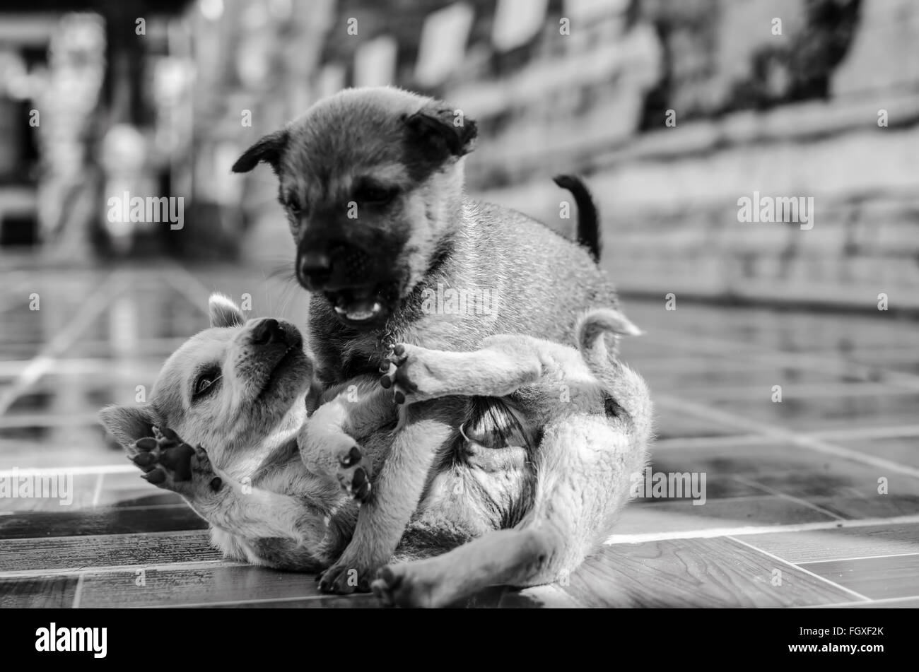 Slap slapping hi-res stock photography and images - Alamy