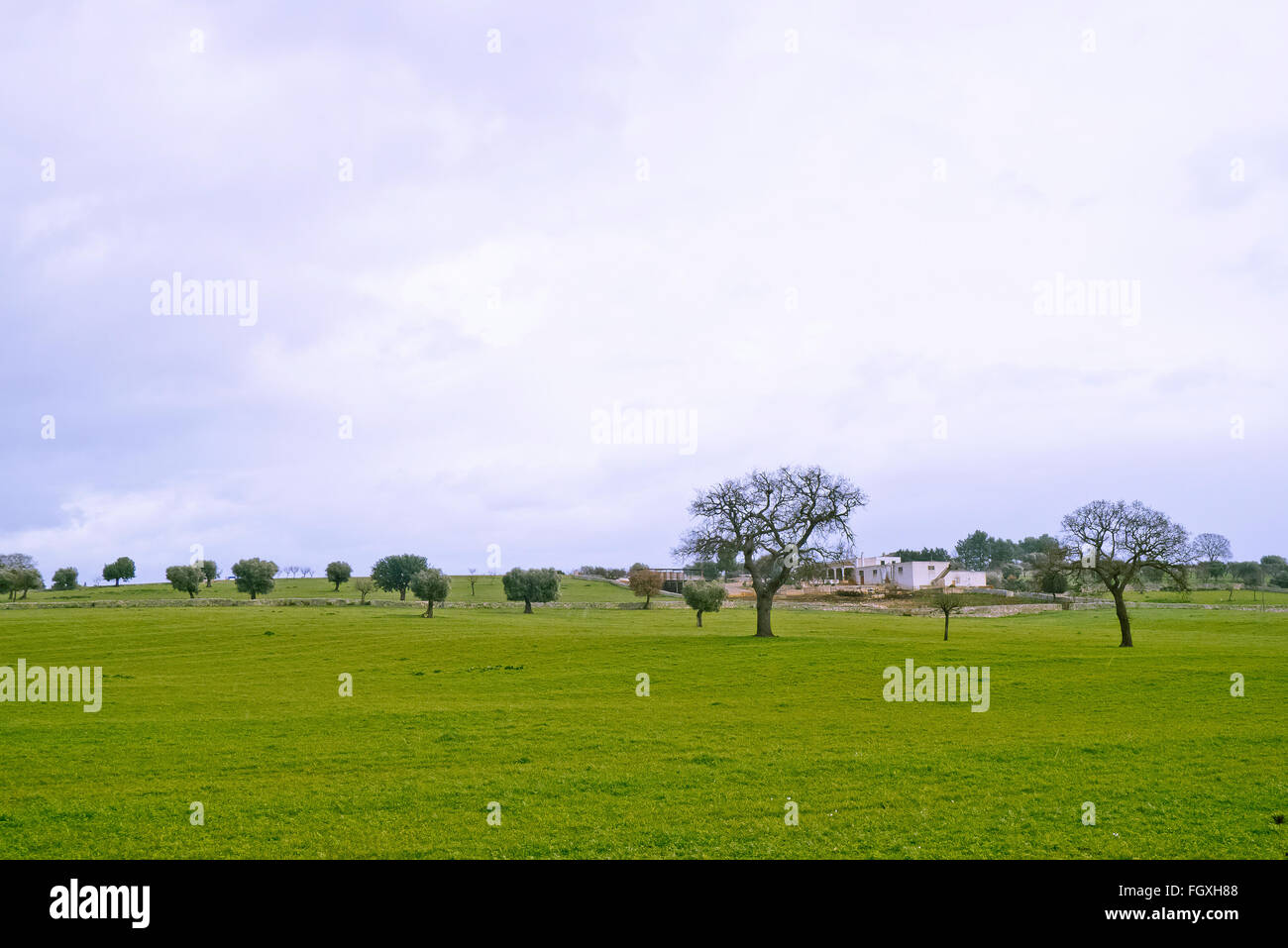 Farm of Apulia Stock Photo - Alamy