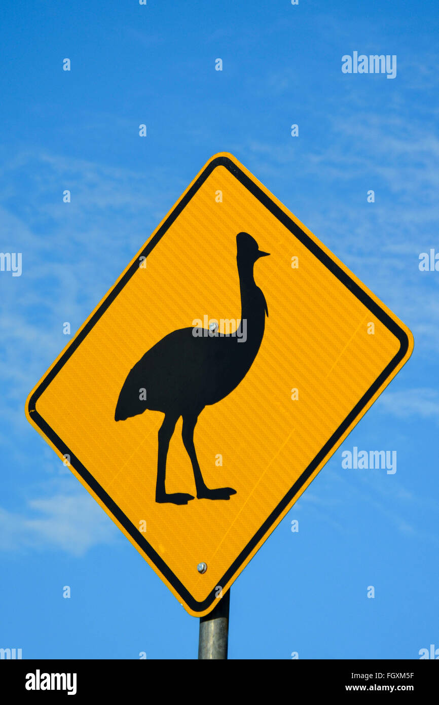 Cassowary warning sign in North Queensland, Australia Stock Photo - Alamy