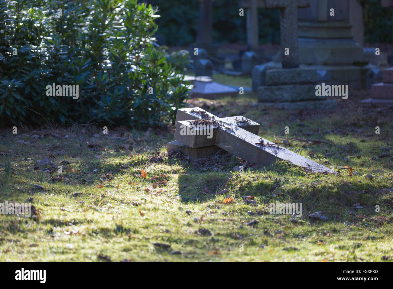 Brave stones hi-res stock photography and images - Alamy