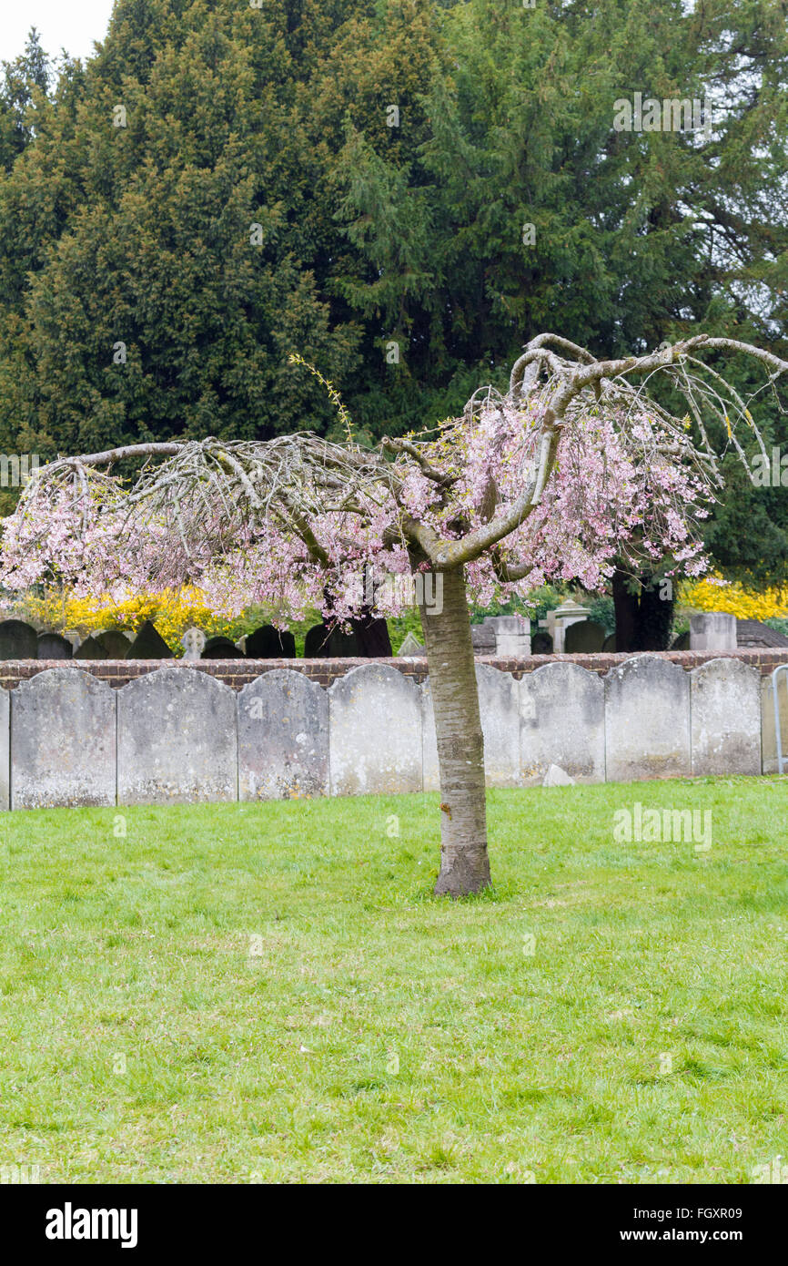 St John's Church Stoke Stock Photo - Alamy