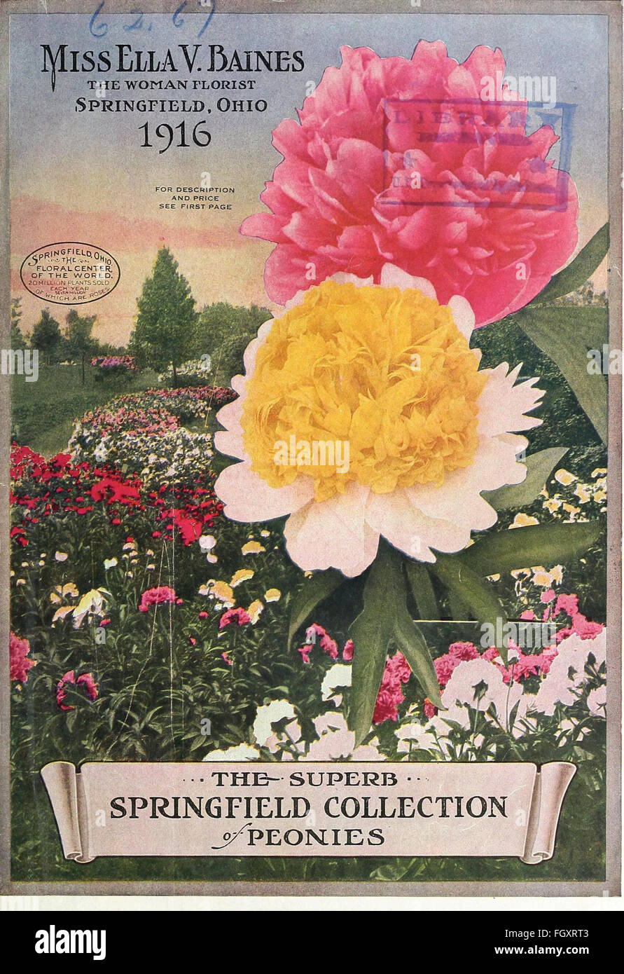 The Springfield collection is a renowned selection of peony varieties ...