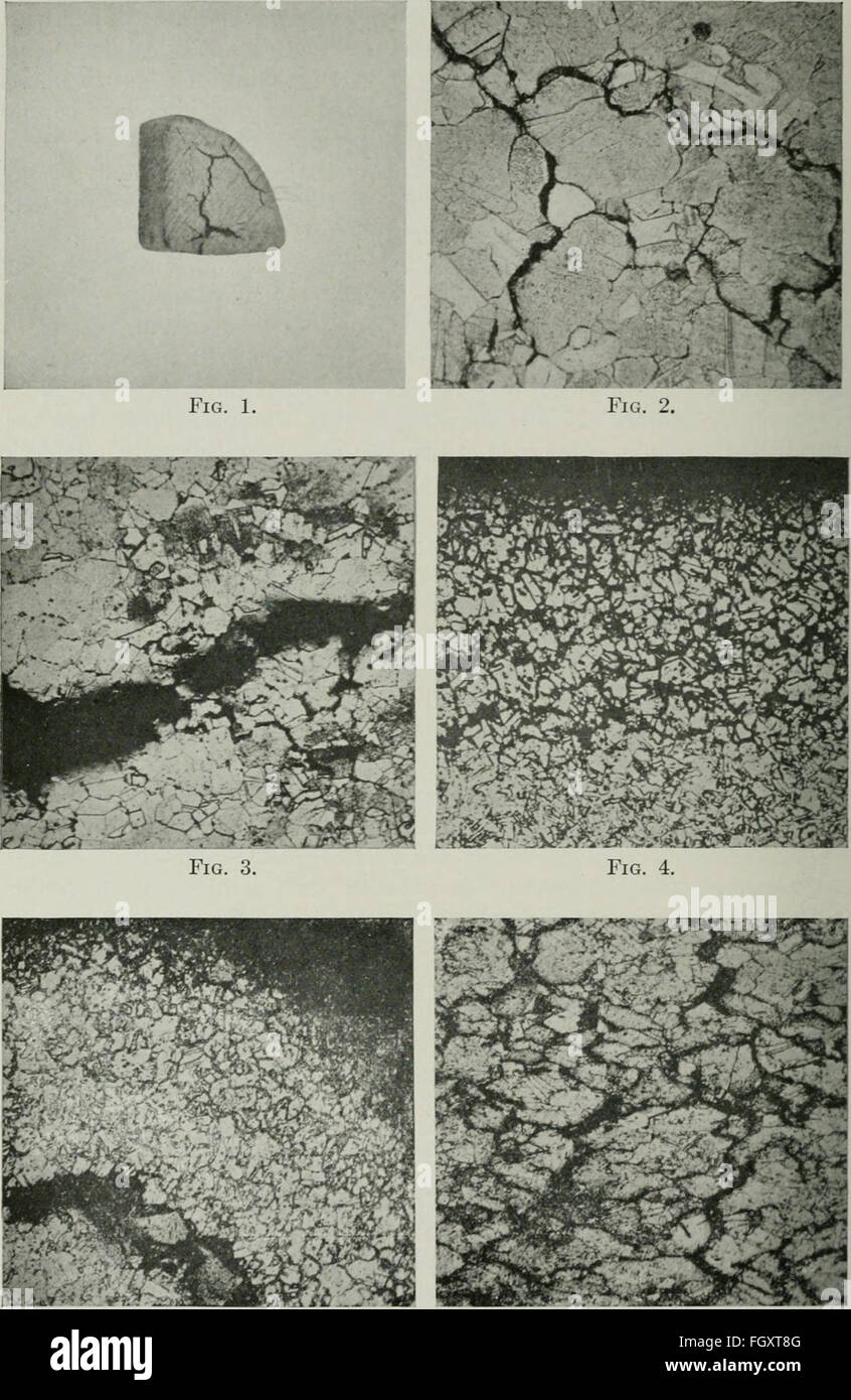 The 1871 Transactions document important findings and discussions ...