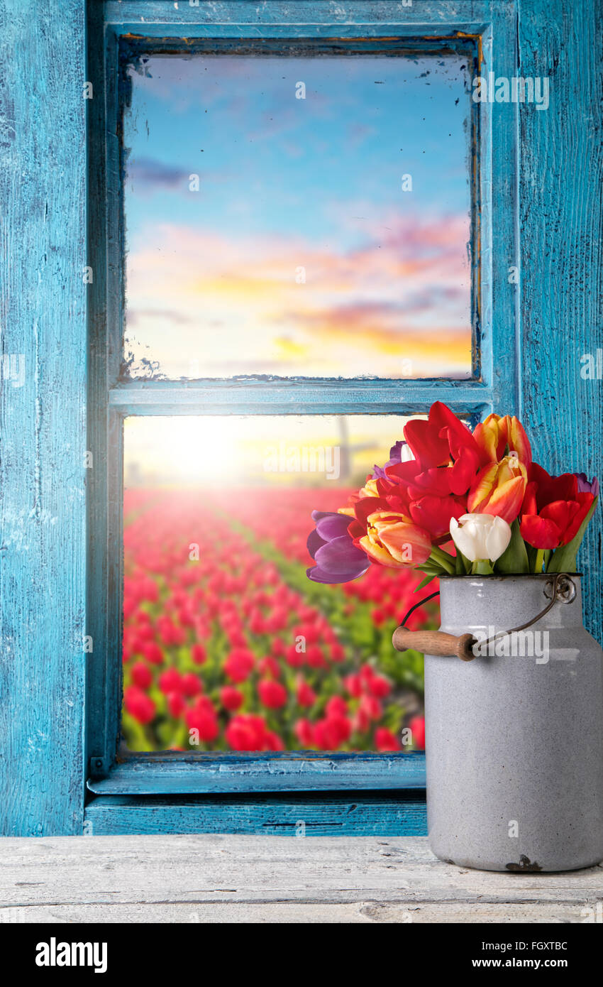 Spring decoration on window Stock Photo - Alamy