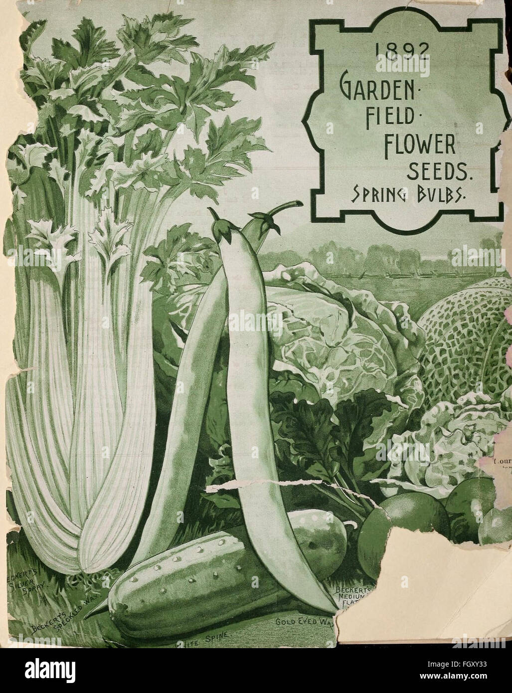 This seed catalogue from Wm. C. Beckert provides detailed descriptions ...