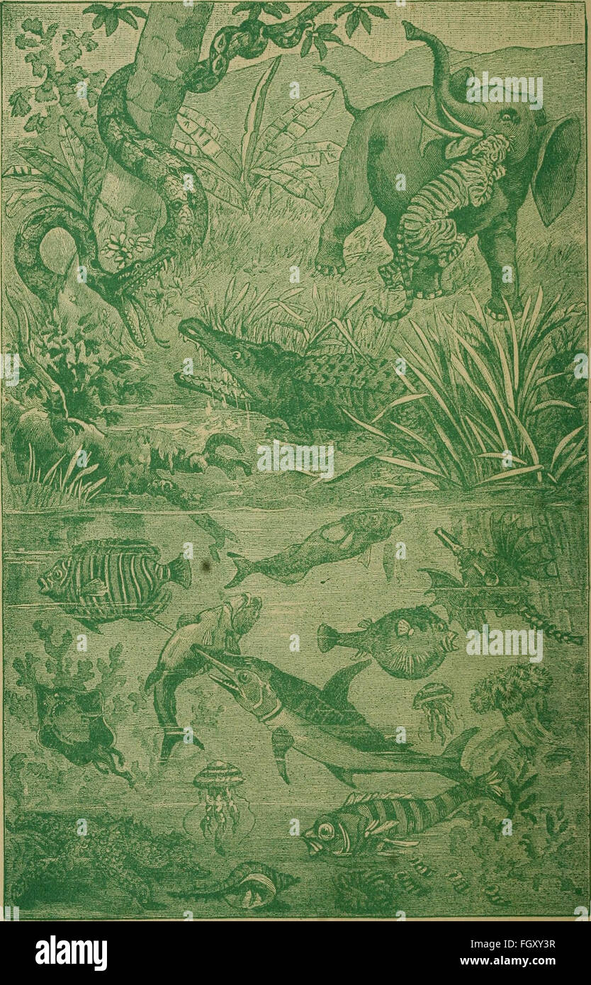 Stanley livingstone map hi-res stock photography and images - Alamy