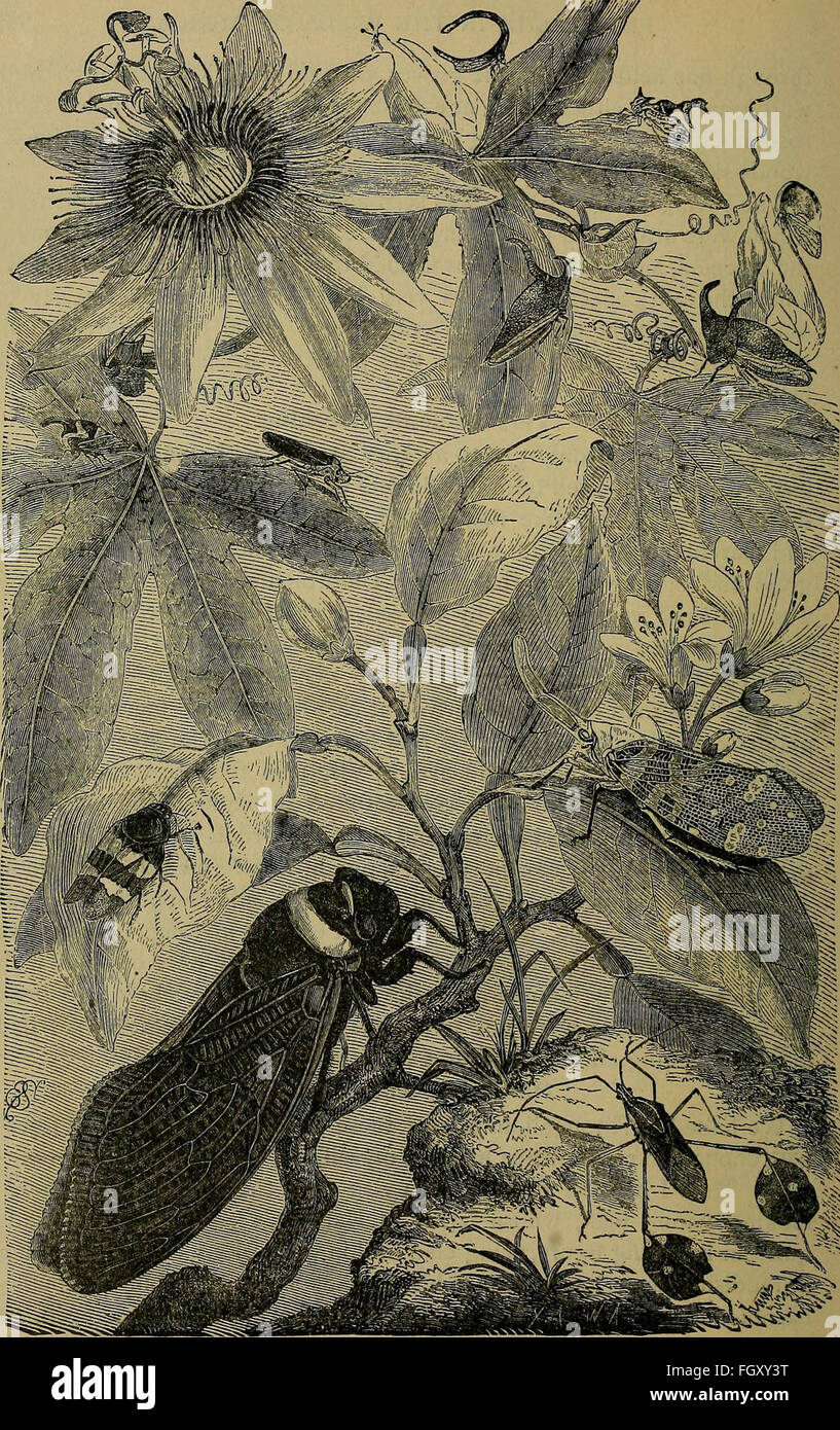 Stanley livingstone map hi-res stock photography and images - Alamy