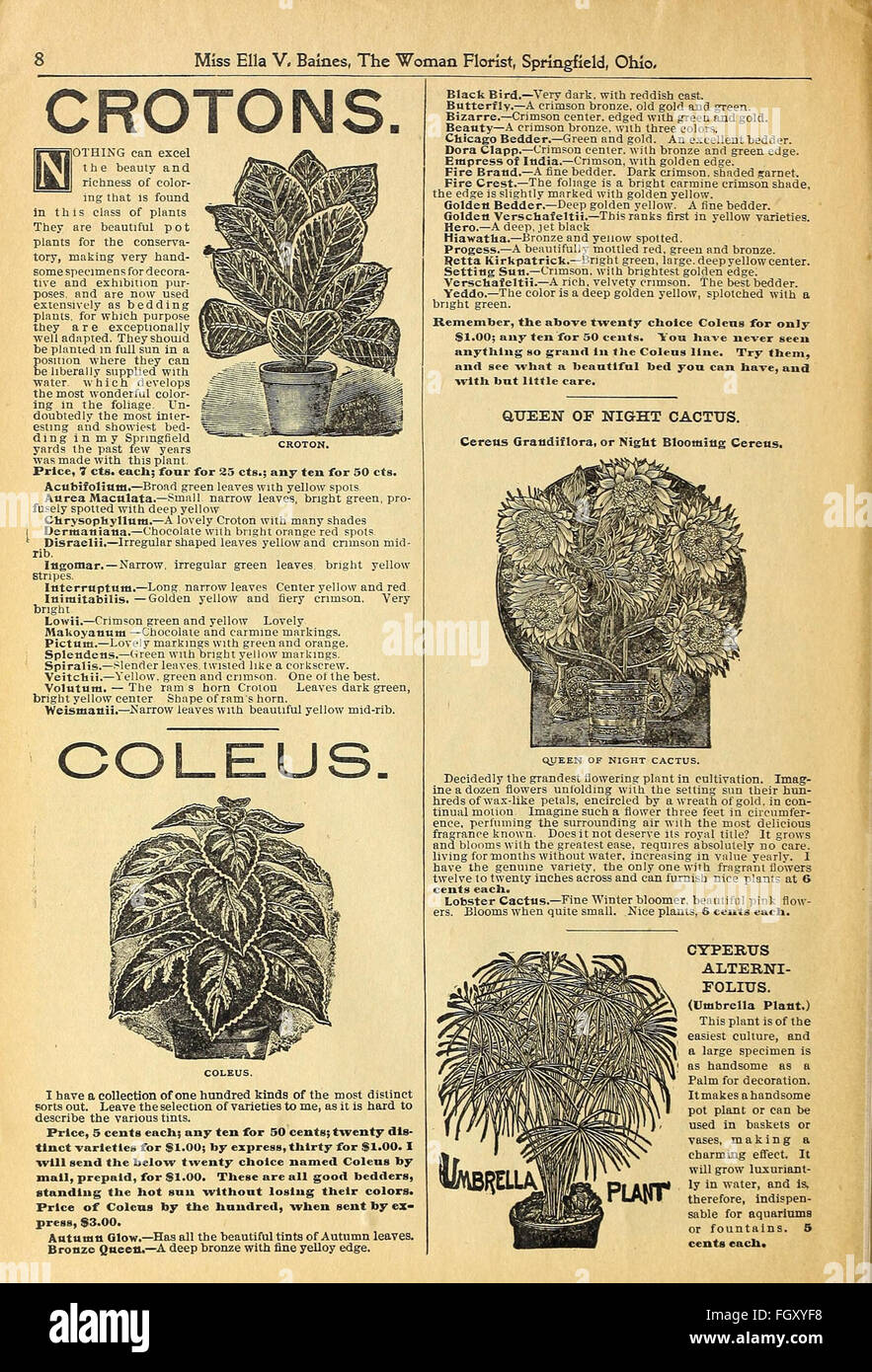 This guide offers practical tips and ideas for home decoration and ...