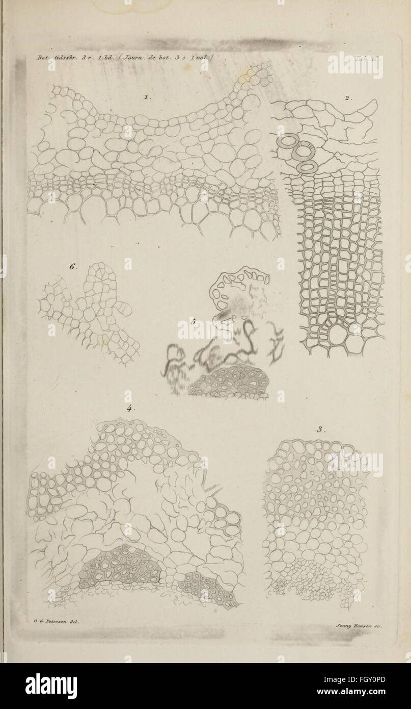'Botanisk Tidsskrift' is a Danish botanical journal that publishes ...