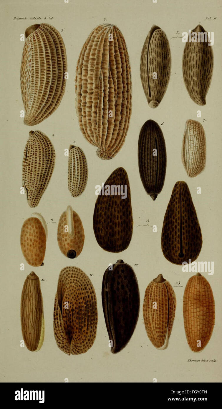 Botanisk Tidsskrift is a botanical journal focusing on plant studies ...