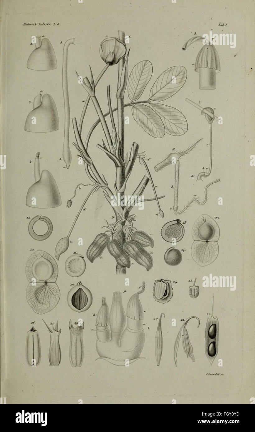 Botanisk Tidsskrift is a Danish botanical journal, focusing on plant ...