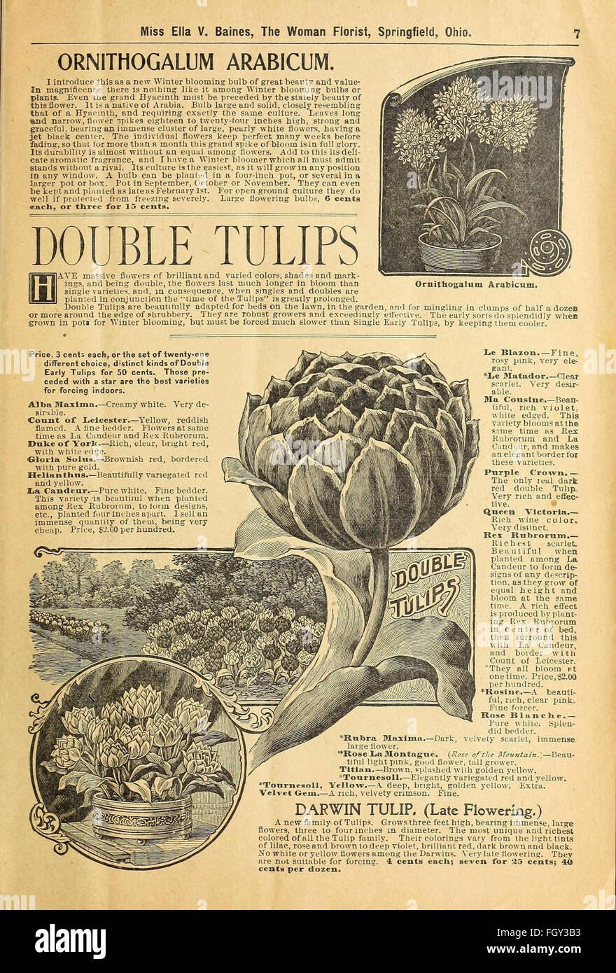 This catalog offers a wide selection of bulbs, roses, and plants that ...