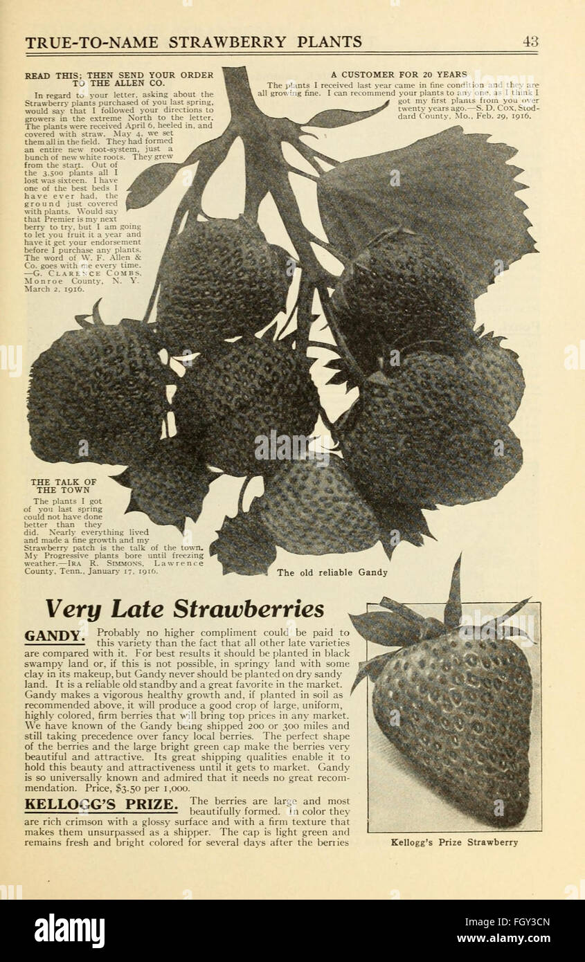 Allen's Book of Berries is a comprehensive guide on various berry ...