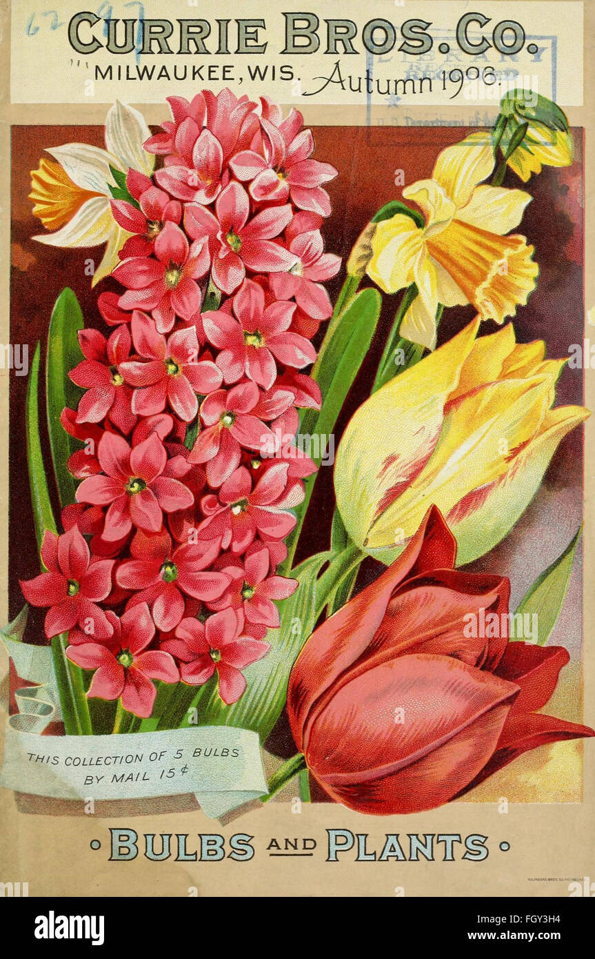 A catalog detailing various types of bulbs and plants suitable for ...
