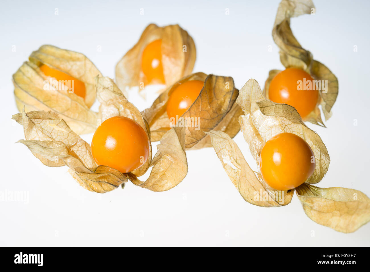 Physalis fruit hi-res stock photography and images - Alamy