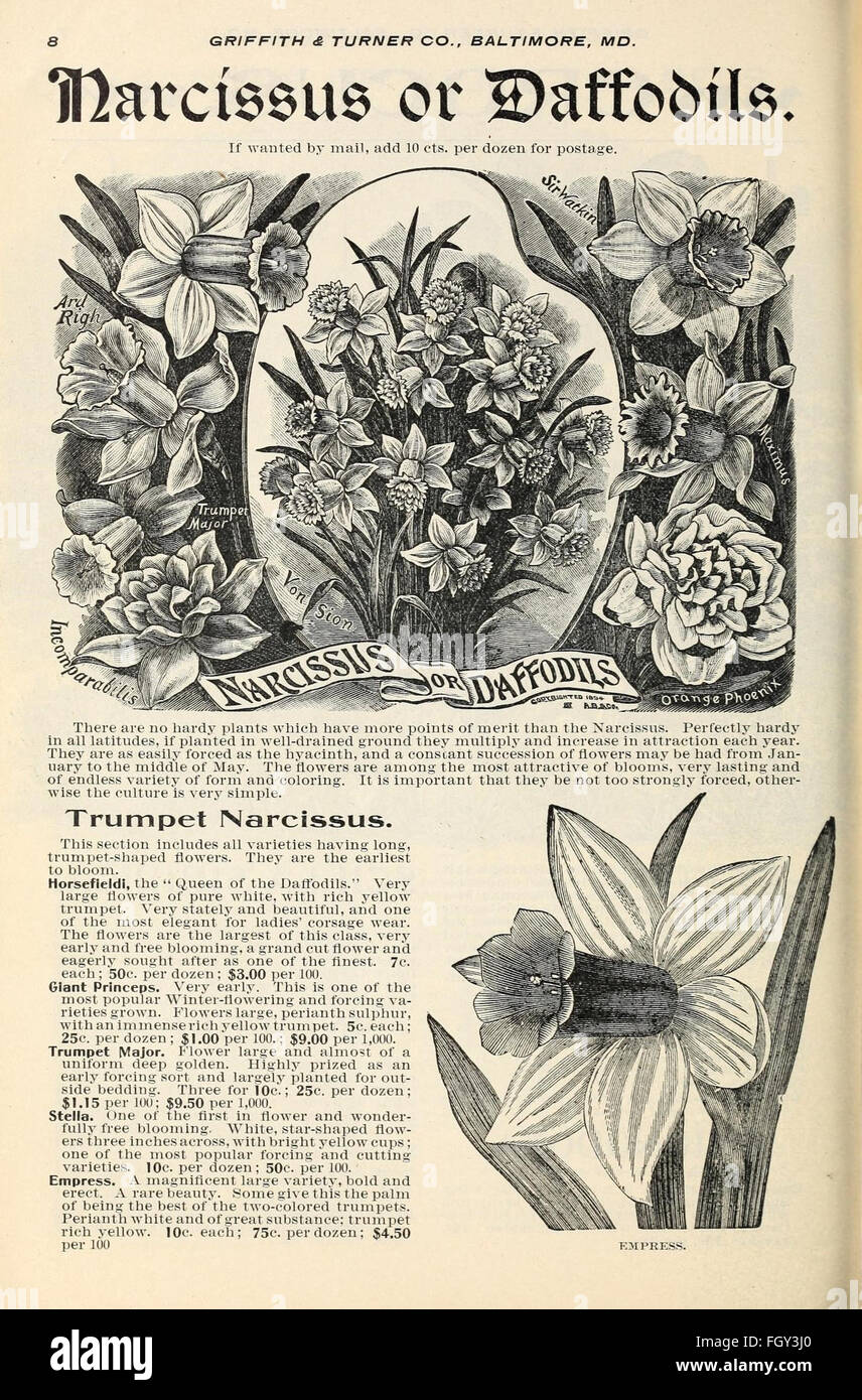 This guide offers detailed information about different types of bulbs ...