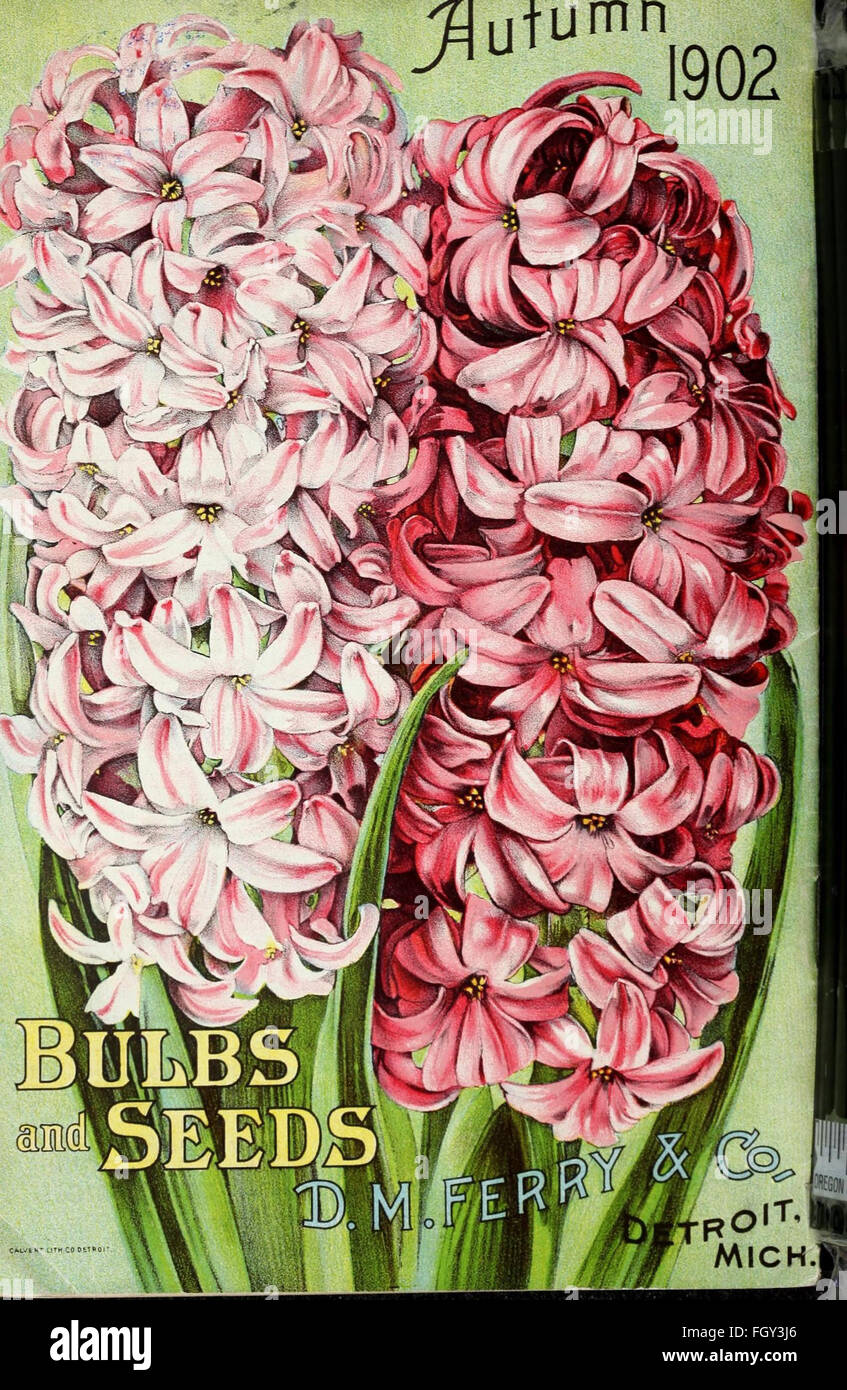 This catalog offers a range of bulbs and seeds for various plants ...