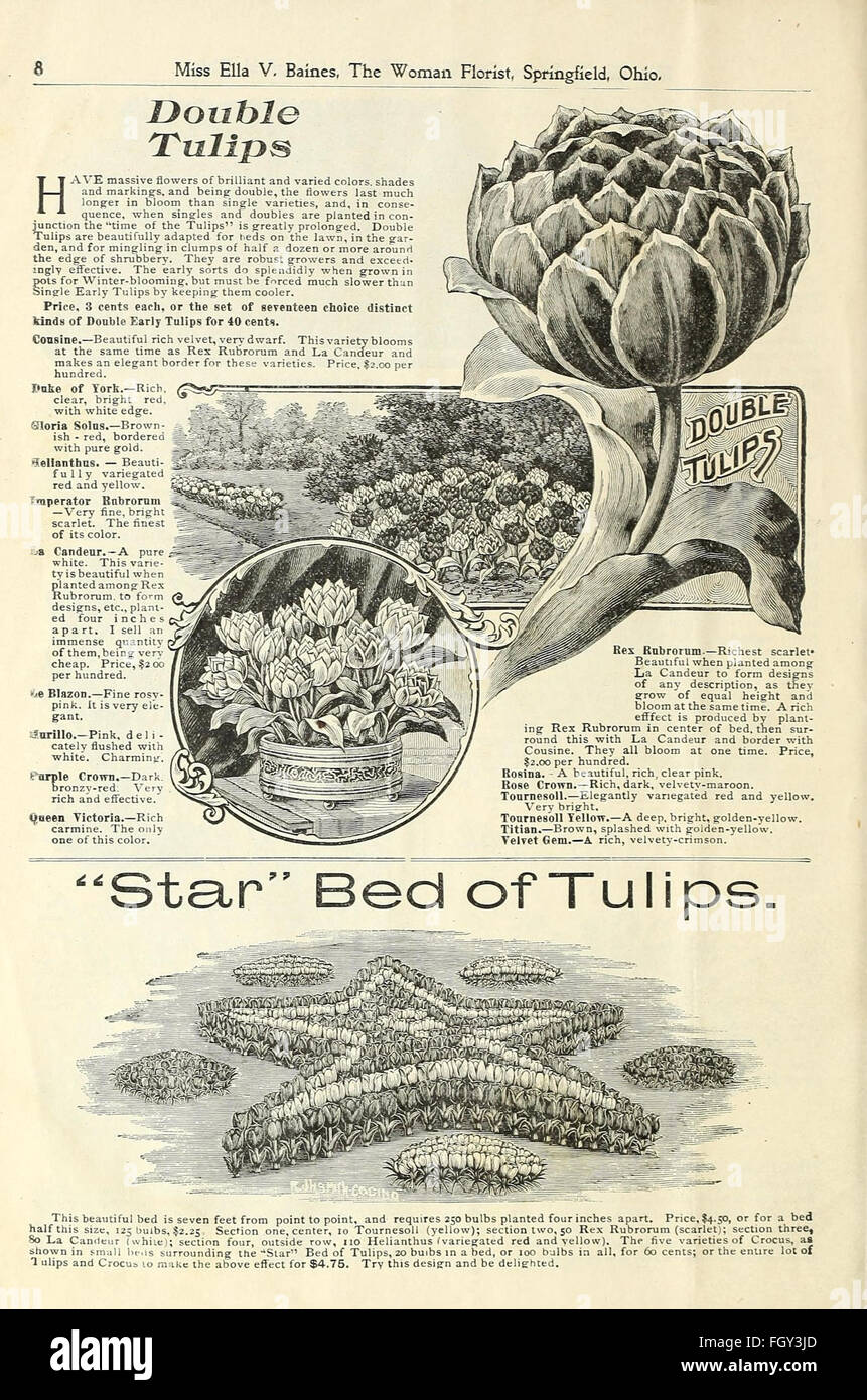 This catalog provides detailed information about bulb plants, including ...