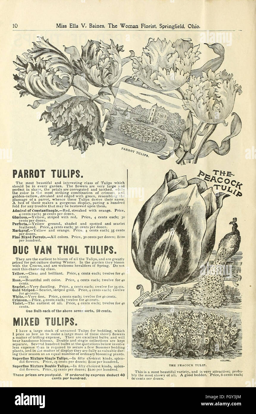 This catalog offers a wide selection of bulbs, roses, and plants ...