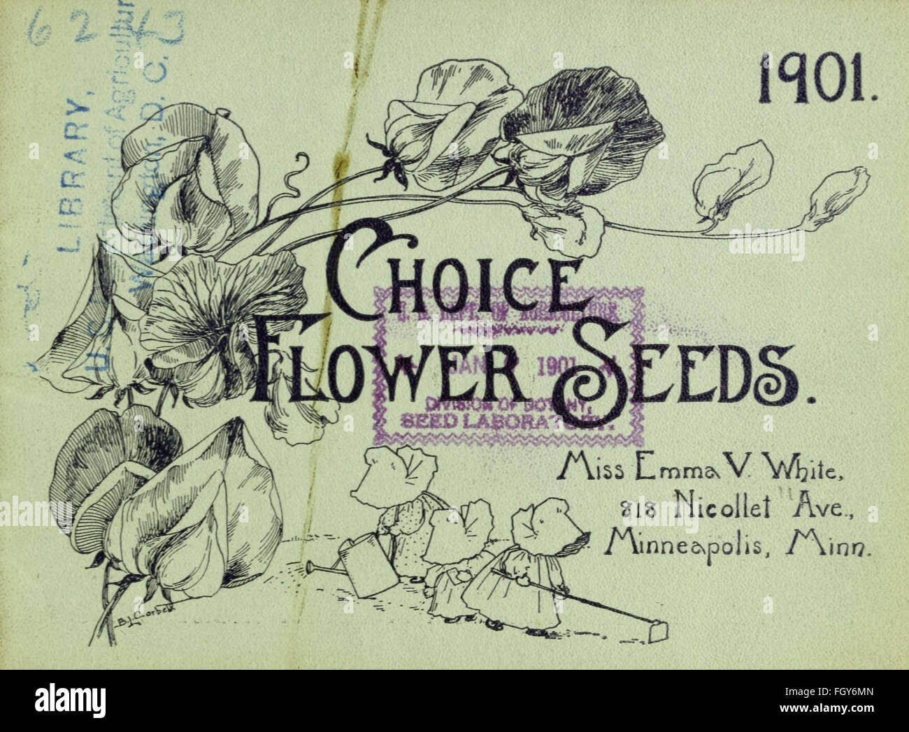 A collection of high-quality flower seeds, chosen for their vibrant ...